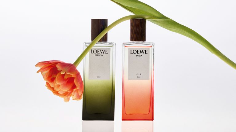 Loewe Just Expanded Their Fragrance Range | Marie Claire