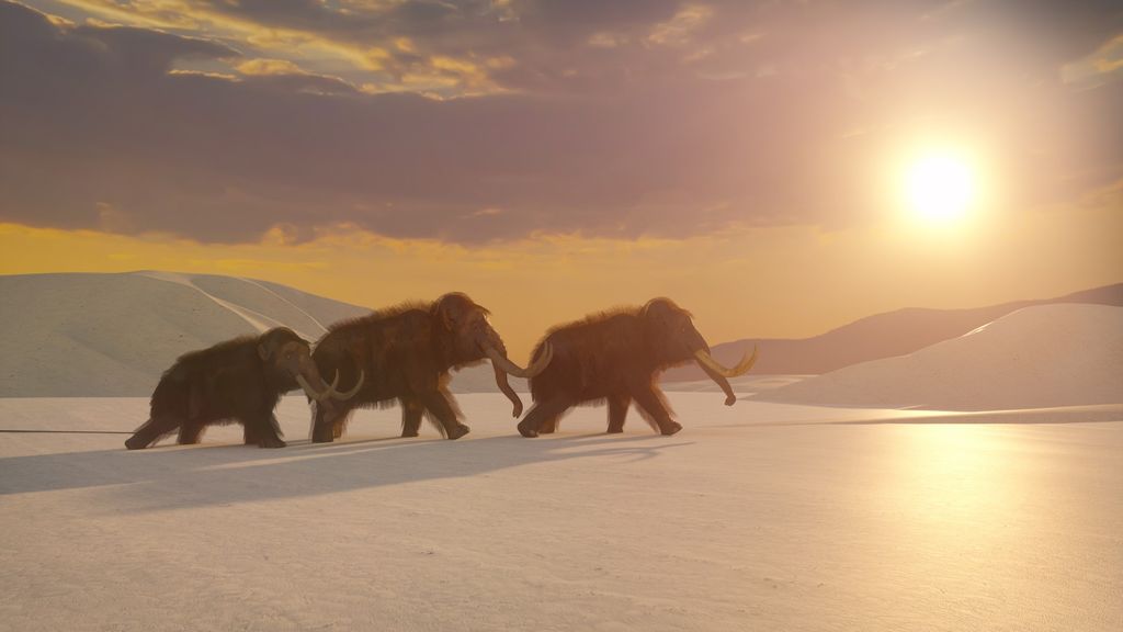 Woolly mammoth de-extinction inches closer after elephant stem cell ...