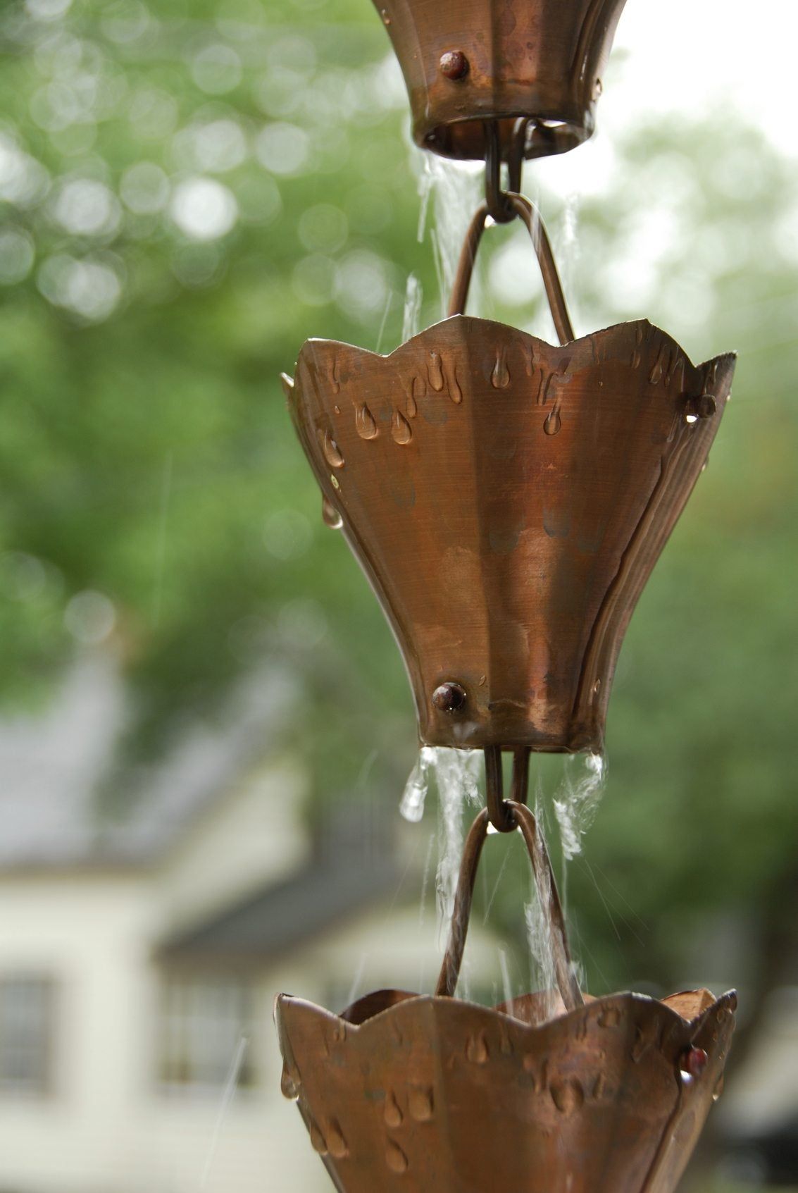 Garden Rain Chain Info: Tips On Creating A Rain Chain In Gardens ...
