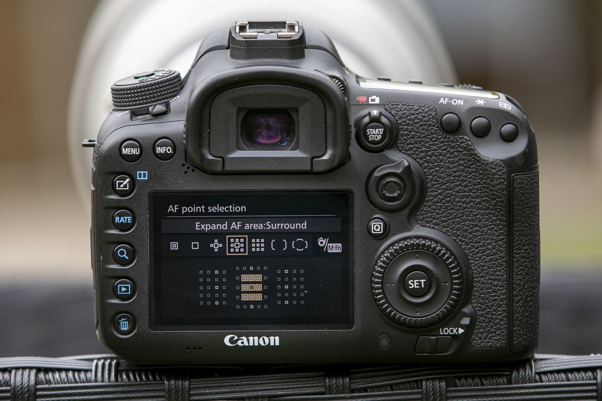 How to use a 500mm lens to photograph wary wildlife | Digital Camera World