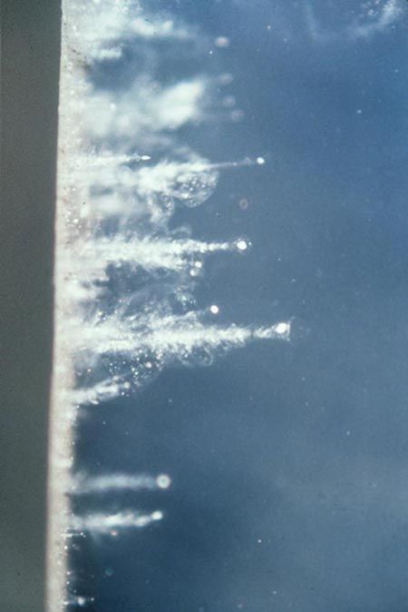 Stardust Mission Succeeds in Returning Comet Dust | Space