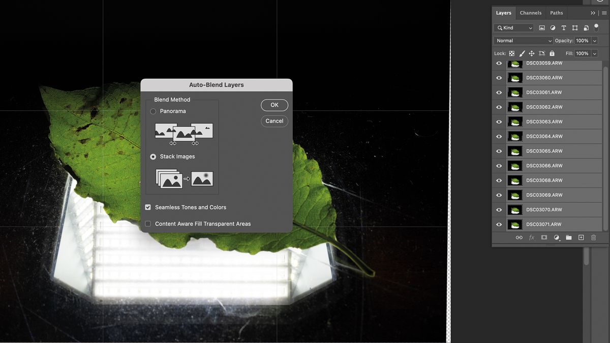 Create botanical photo art with microscopic insights | Digital Camera World