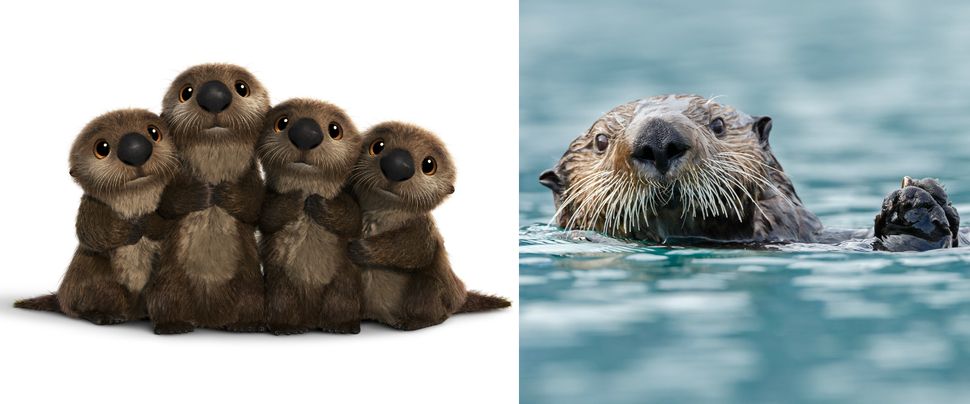 Photos: Meet 'Finding Dory' Real-Life Counterparts | Live Science