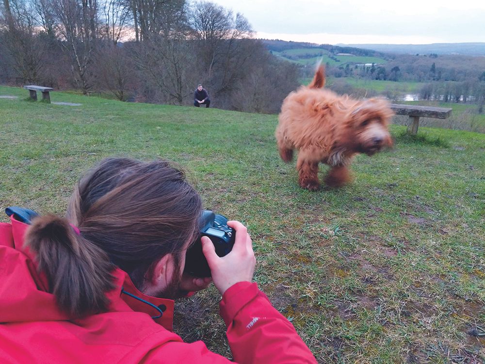 Dog photography: how to shoot action shots of running dogs | Digital ...