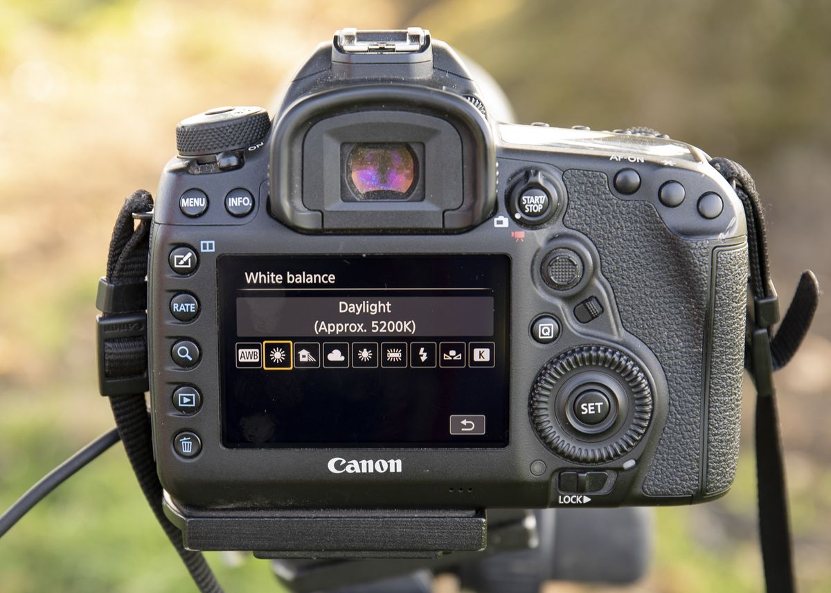 10 pro tips for tremendous treescapes: take amazing tree landscapes ...