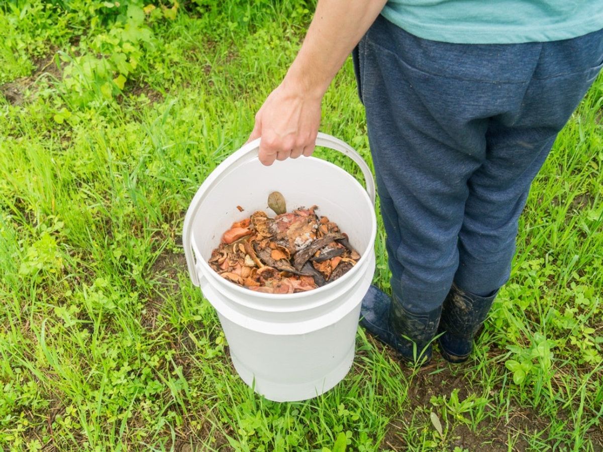 DIY 5 Gallon Bucket Compost Bin | Gardening Know How