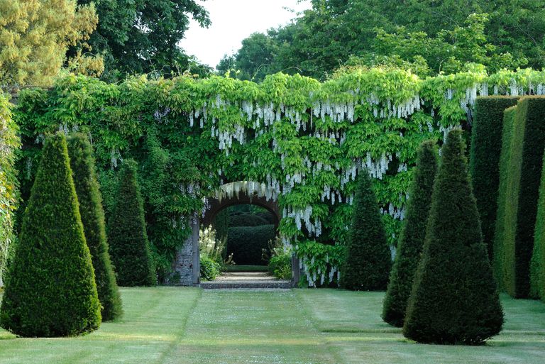 Topiary: 10 ideas and expert advice about using topiary | Homes & Gardens