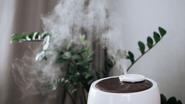 Best humidifiers 2025: Banish dry air from your home | Live Science