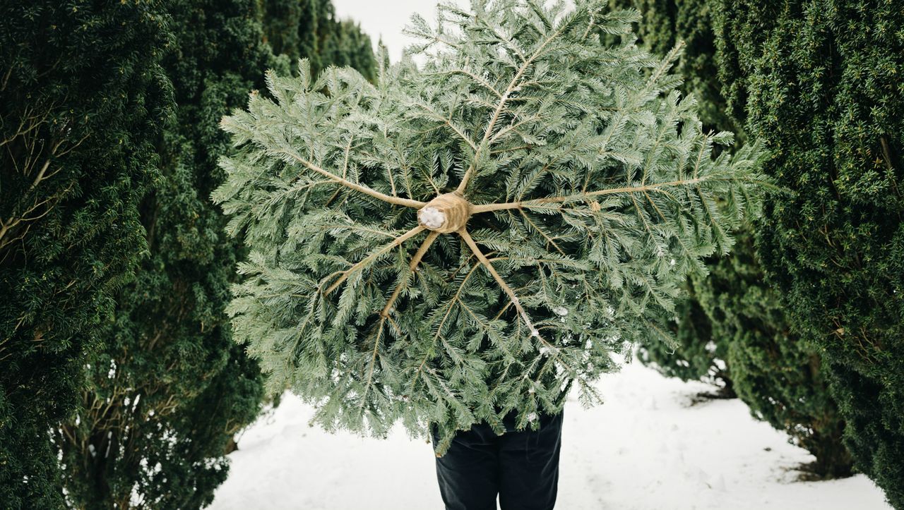 How to have a sustainable Christmas: 15 tips for eco festivities ...