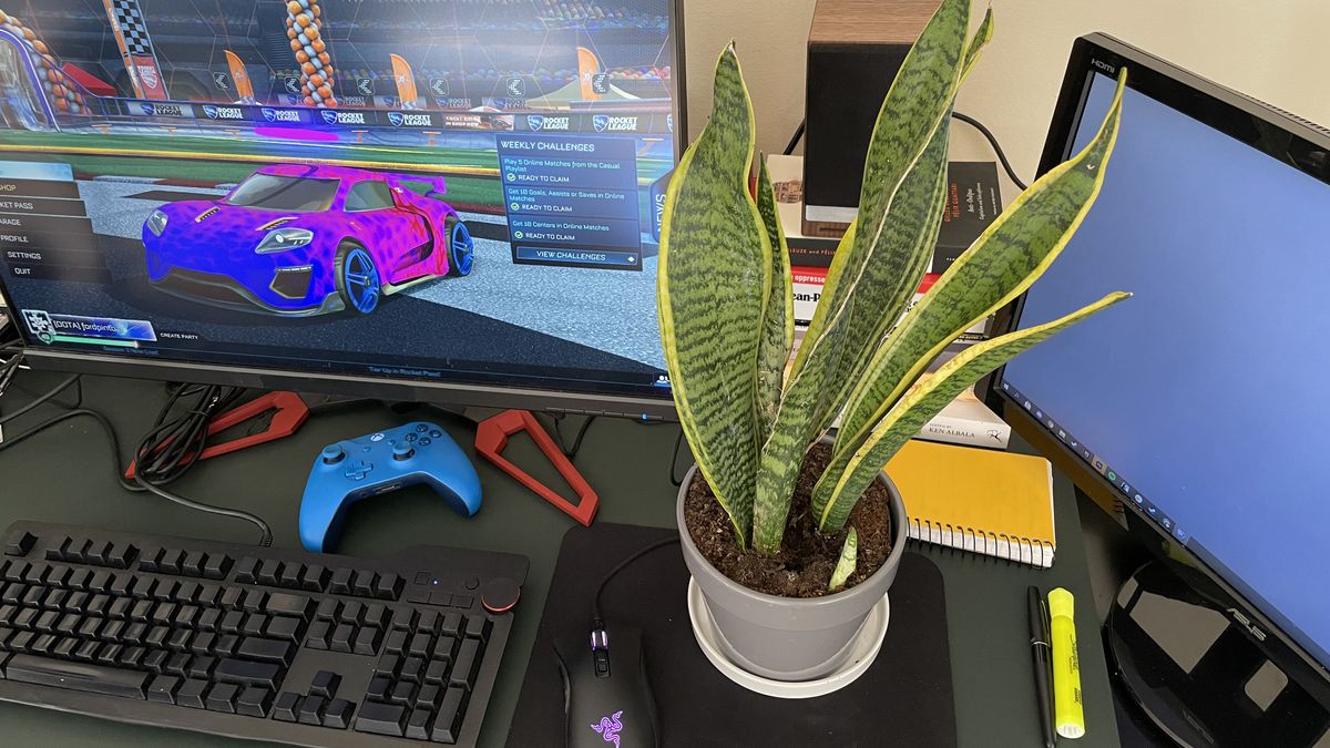 The pets of PC Gamer | PC Gamer