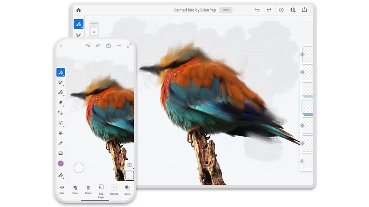 Adobe Fresco update brings amazing drawing features and a premium price ...