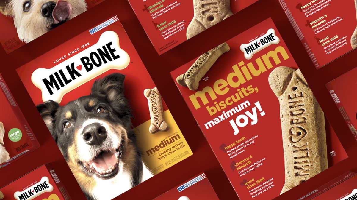 "Bringing a blue-collar work ethic to a white-collar world”: a day in ...