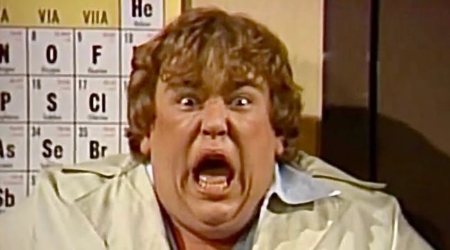 25 Fun Facts About John Candy And The Comedian’s Legendary Career ...