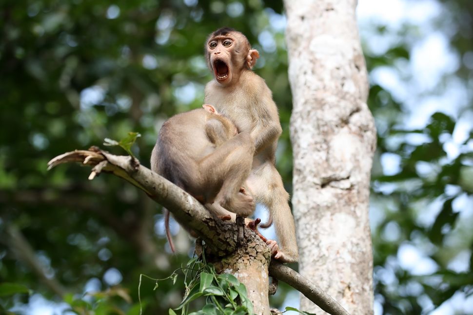 These could be the funniest animal pictures ever | Live Science