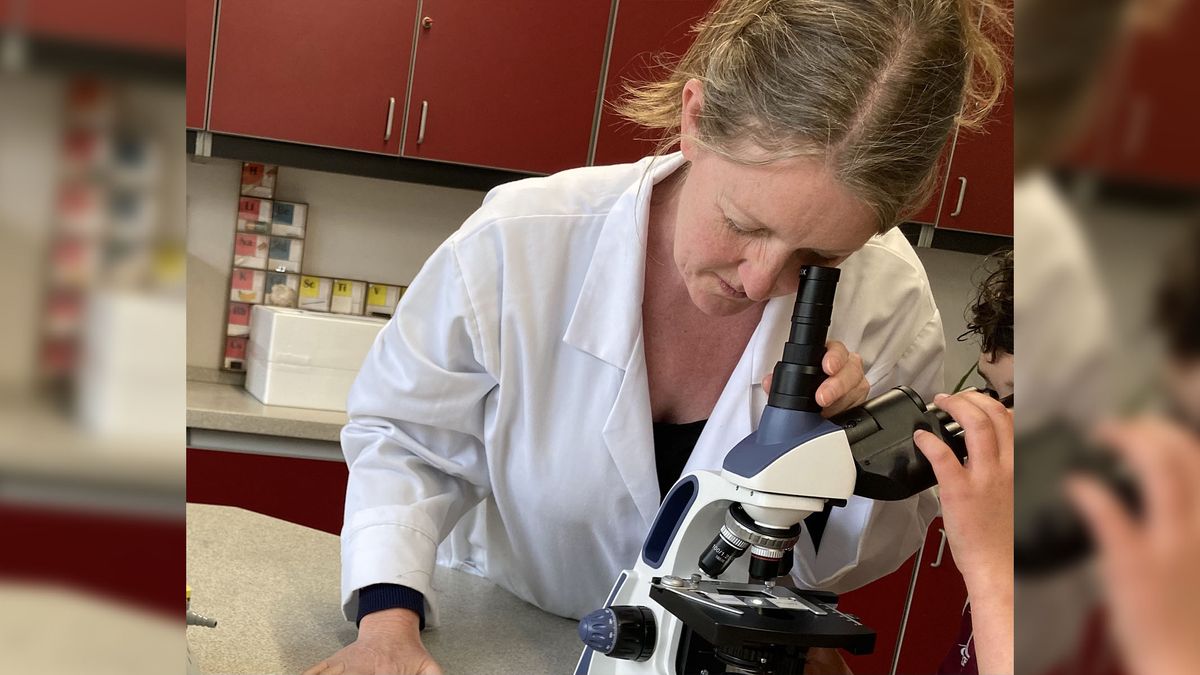 Best microscopes for students 2025 | Live Science