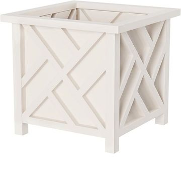 Best white flowering trees and shrubs for pots: 5 varieties | Homes and ...