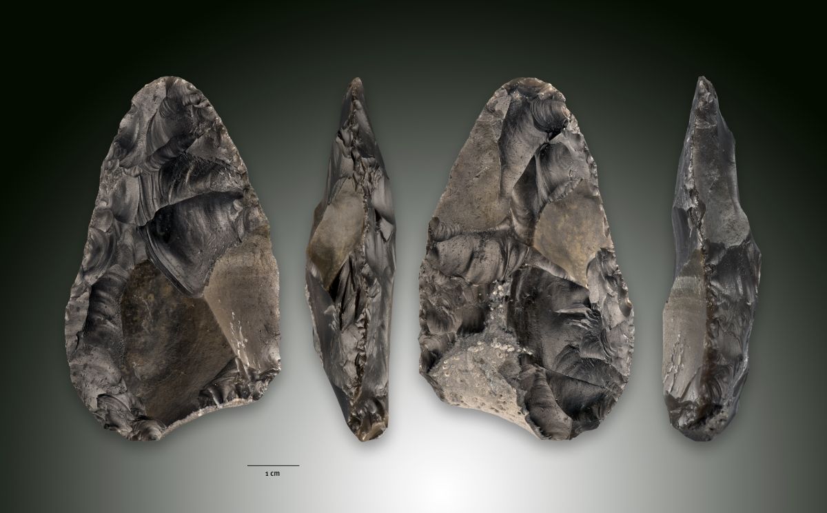 Photos: Ancient Human Remains from Beneath the North Sea | Live Science