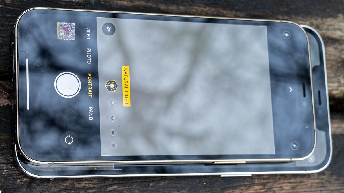 Apple iPhone 12 Pro vs Max | Digital Camera World