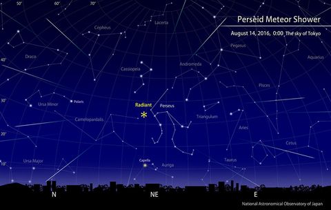 Supercharged Perseid Meteor Shower Peaks This Month | Space
