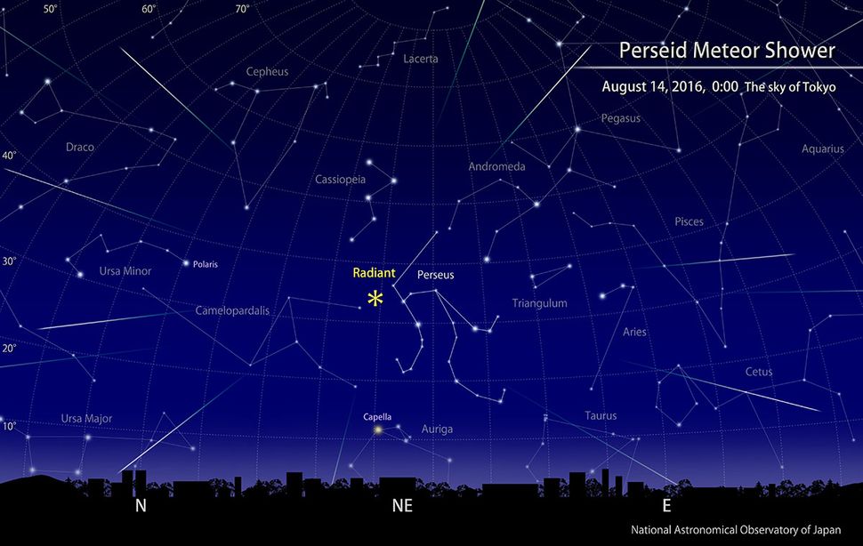 Supercharged Perseid Meteor Shower Peaks This Month | Space