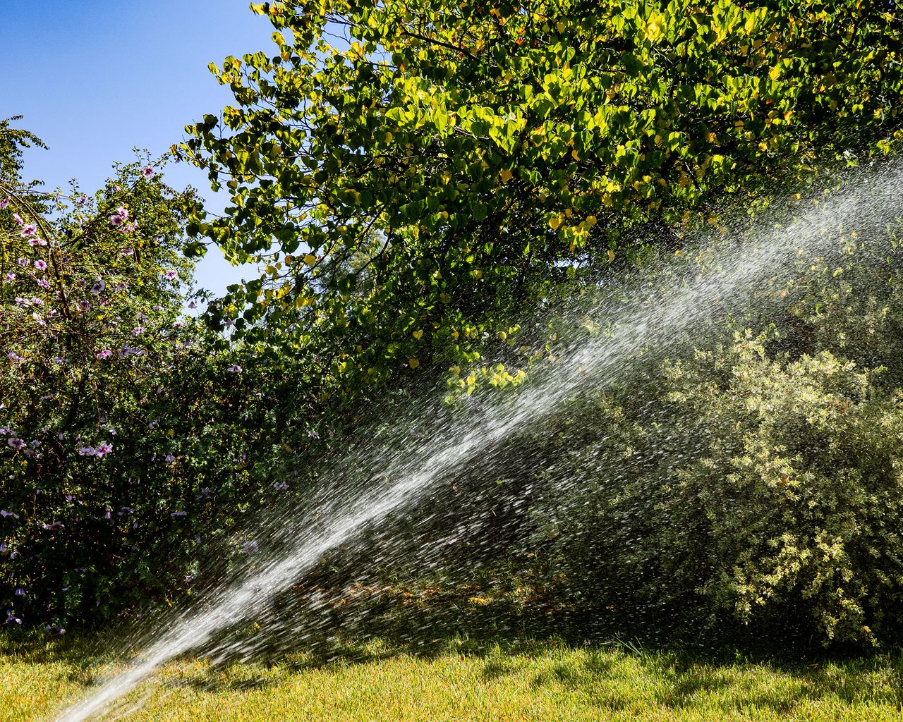 Sprinkler rotor vs spray: what’s the difference? | Gardeningetc