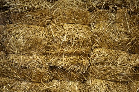 How to Build with Straw Bale | Homebuilding