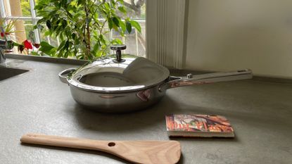 Our Place Titanium Always Pan Pro review: nature knows best | Woman & Home