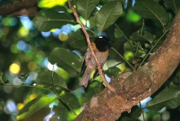 Articles by Lynne Peeples | Live Science