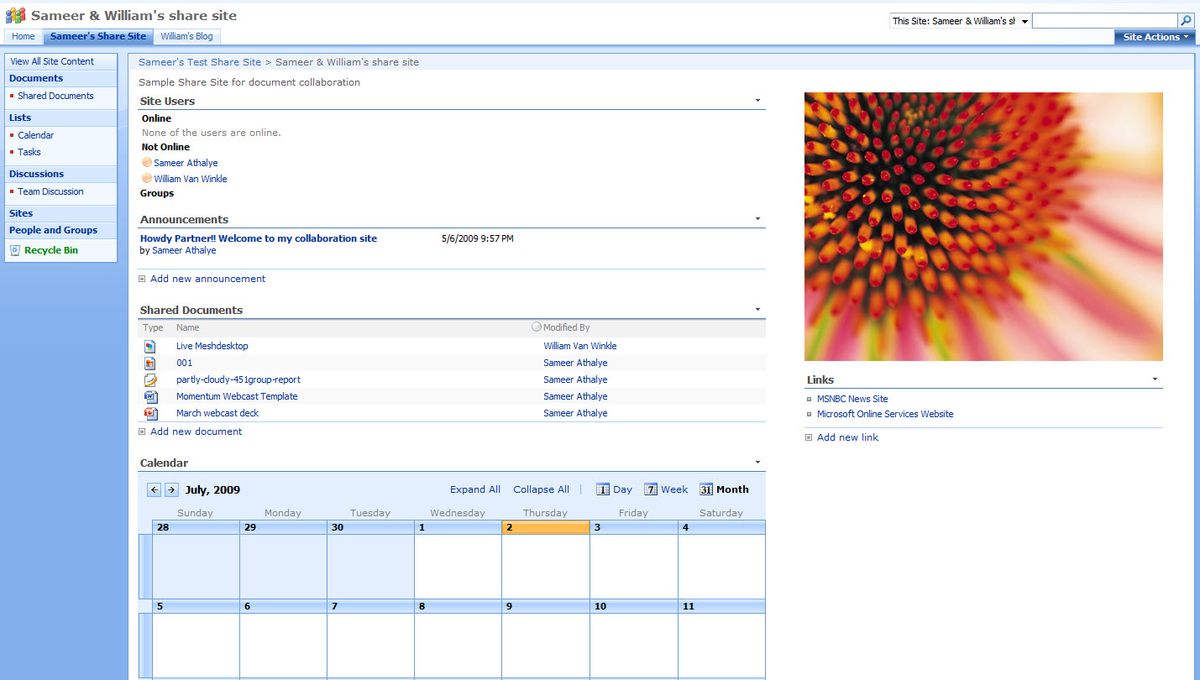 Swinging Through SharePoint - Microsoft BPOS: Managing The Cloud | Tom ...
