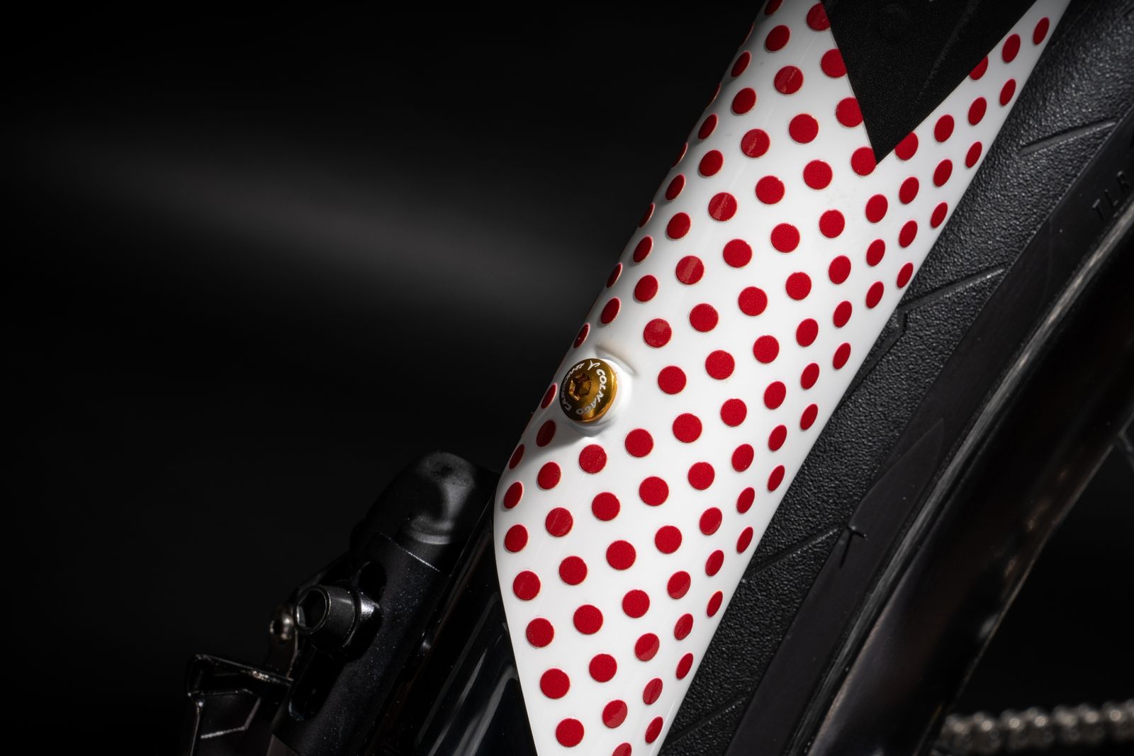 Tadej Pogačar became World Champion on a £17,000 Colnago - here's a ...
