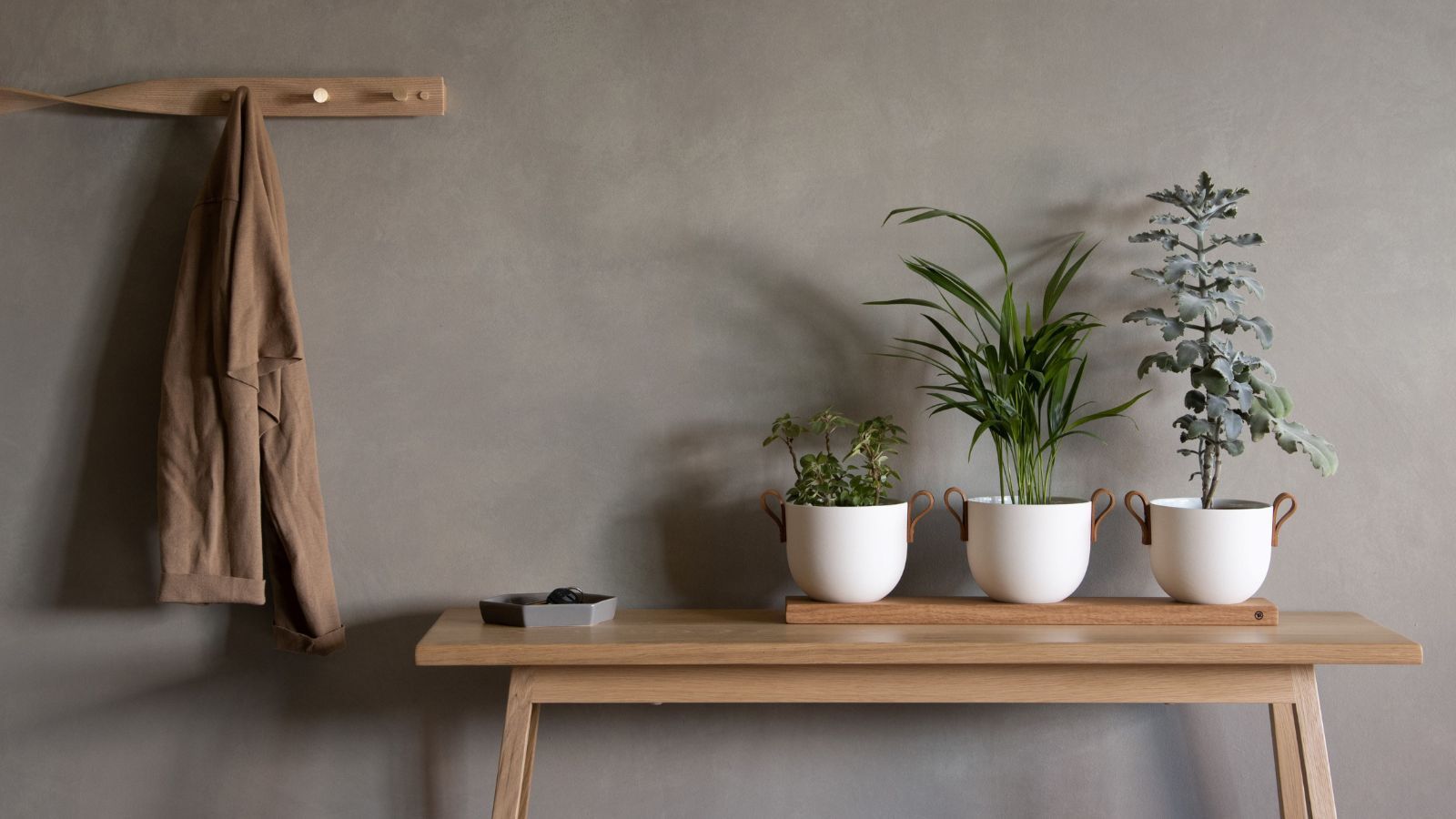 Plants to infuse subtle scents into your home
