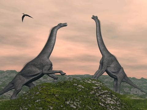 Dinos Got High, Oldest Grass Fungus Fossil Hints | Live Science