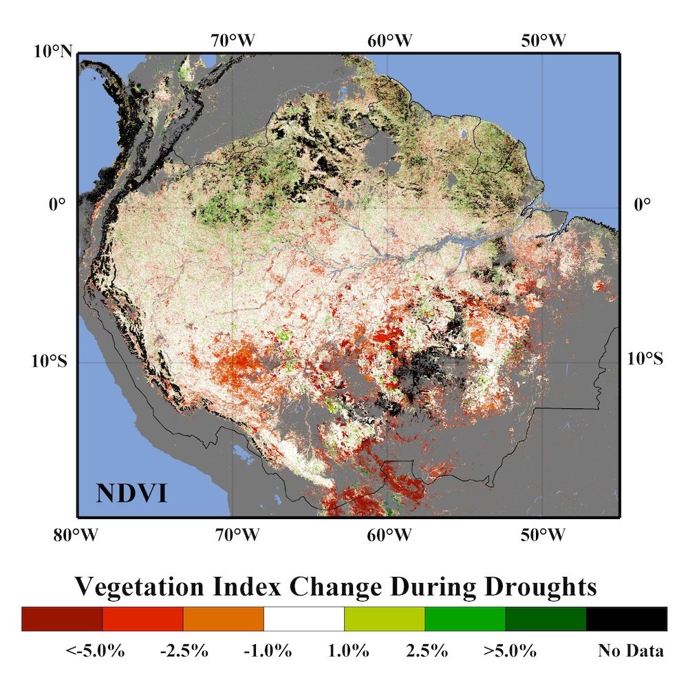 Global Warming Forecast for Amazon Rain Forest: Dry and Dying | Live ...