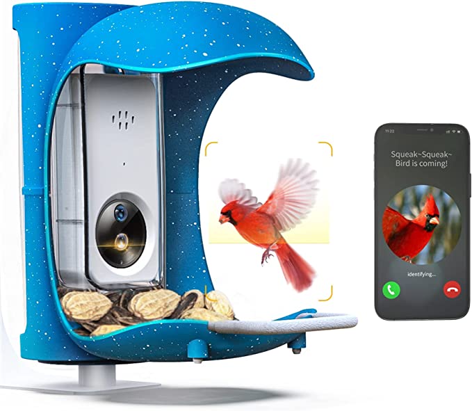 The best bird feeder camera in 2023: birdwatching at home | Digital ...