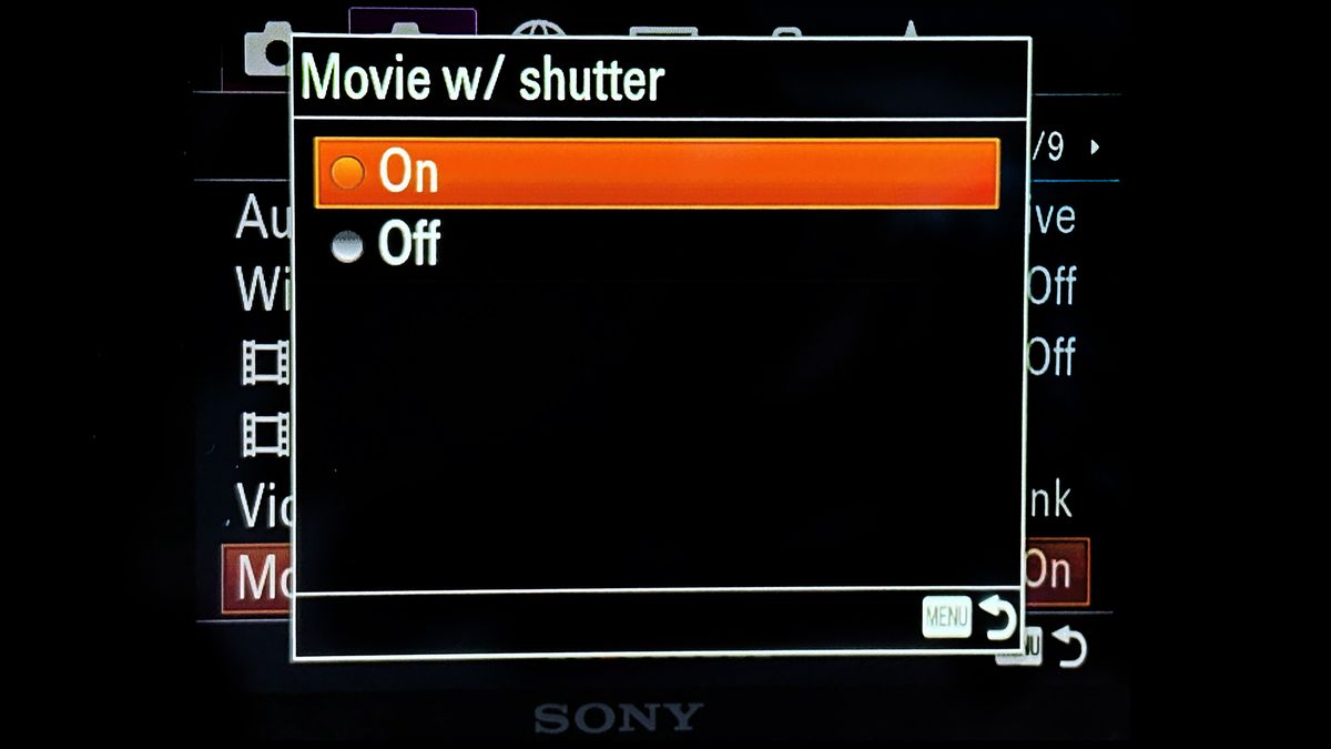 Wildlife photography with a twist: Capture birds in flight with this ...