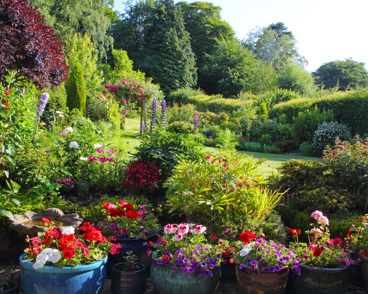 Monty Don's care tips for summer containers: maximize summer blooms ...