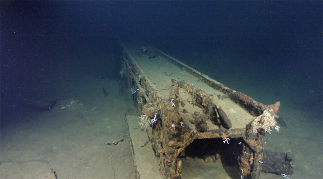 WWII Shipwreck: Haunting Photos of the Battleship Musashi's Remains ...