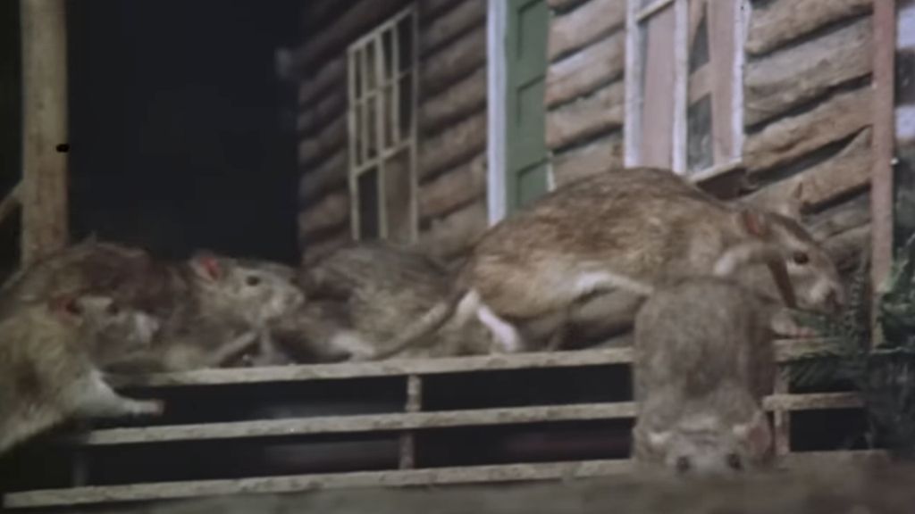 32 Scary Animal Movies That Aren't About Dinosaurs Or Sharks | Cinemablend