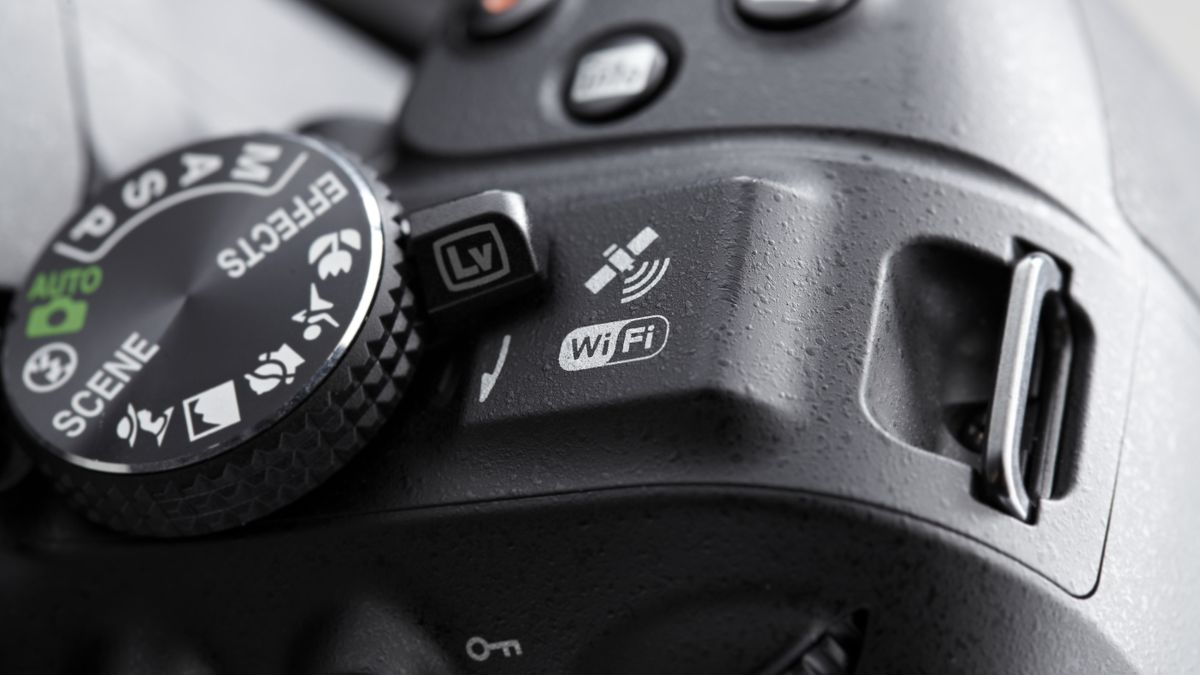 Build, handling and AF - Nikon D5300 review - Page 2 | TechRadar