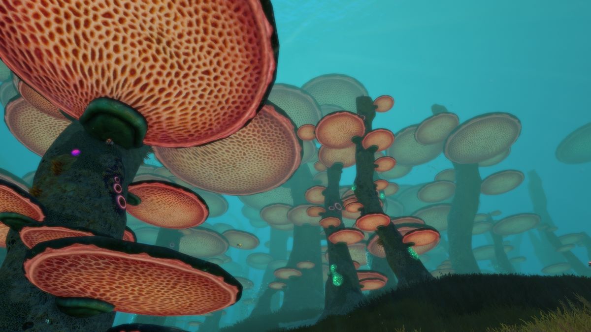 Subnautica map 2018: Coordinates and exploration tips | PC Gamer