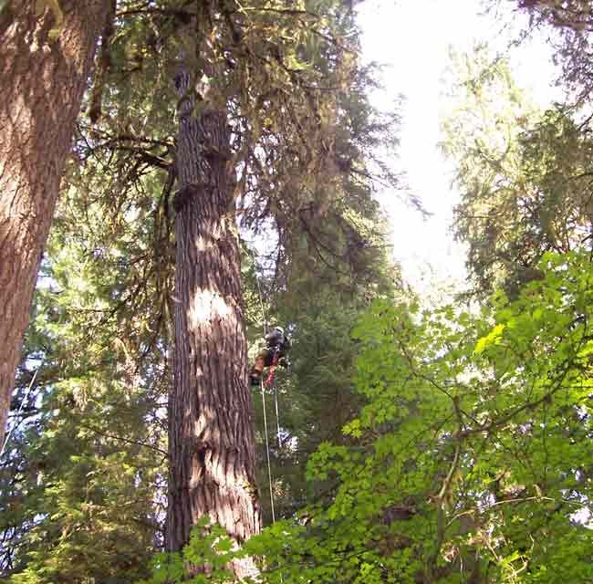 Articles by Greg Soltis | Live Science