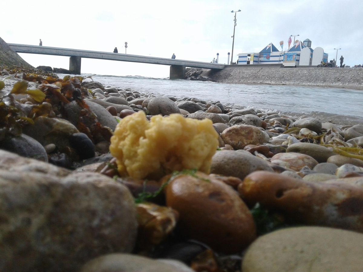 Photos: Weird Yellow Fluff Balls Wash Up on French Beaches | Live Science