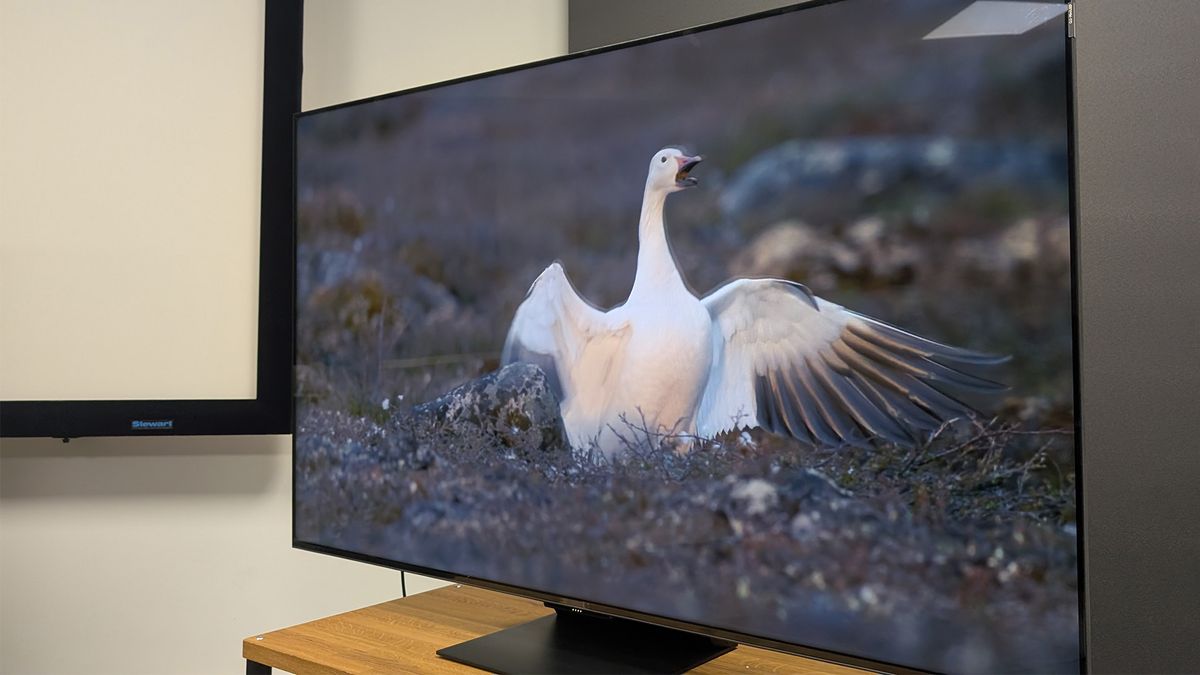 TCL C855K 65-inch review: a good value Mini LED TV that delivers a ...