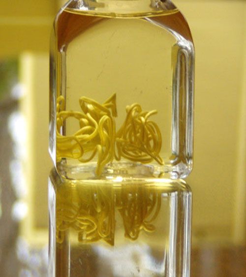 Jimmy Carter: I Want the 'Last Guinea Worm to Die Before I Do' | Live ...