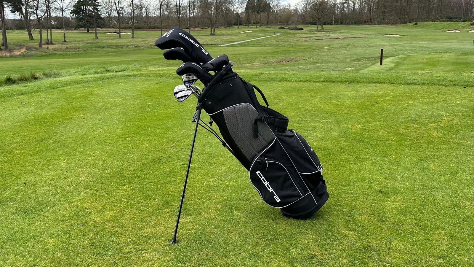 Cobra Fly XL Package Set Review | Golf Monthly