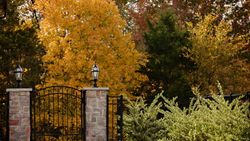 Farmers' Almanac peak fall foliage map and dates revealed | Homes and ...