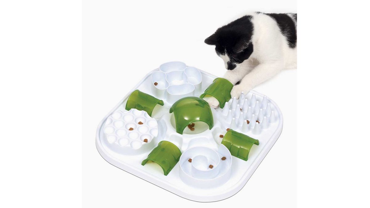 Catit Play Treat Puzzle review | PetsRadar