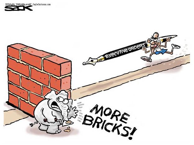 Political cartoon executive order | The Week