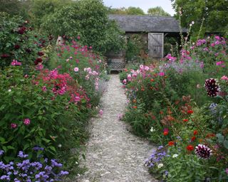 Garden color schemes: how to choose a garden color scheme | Country