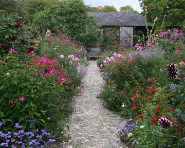 Garden color schemes: how to choose a garden color scheme | Country